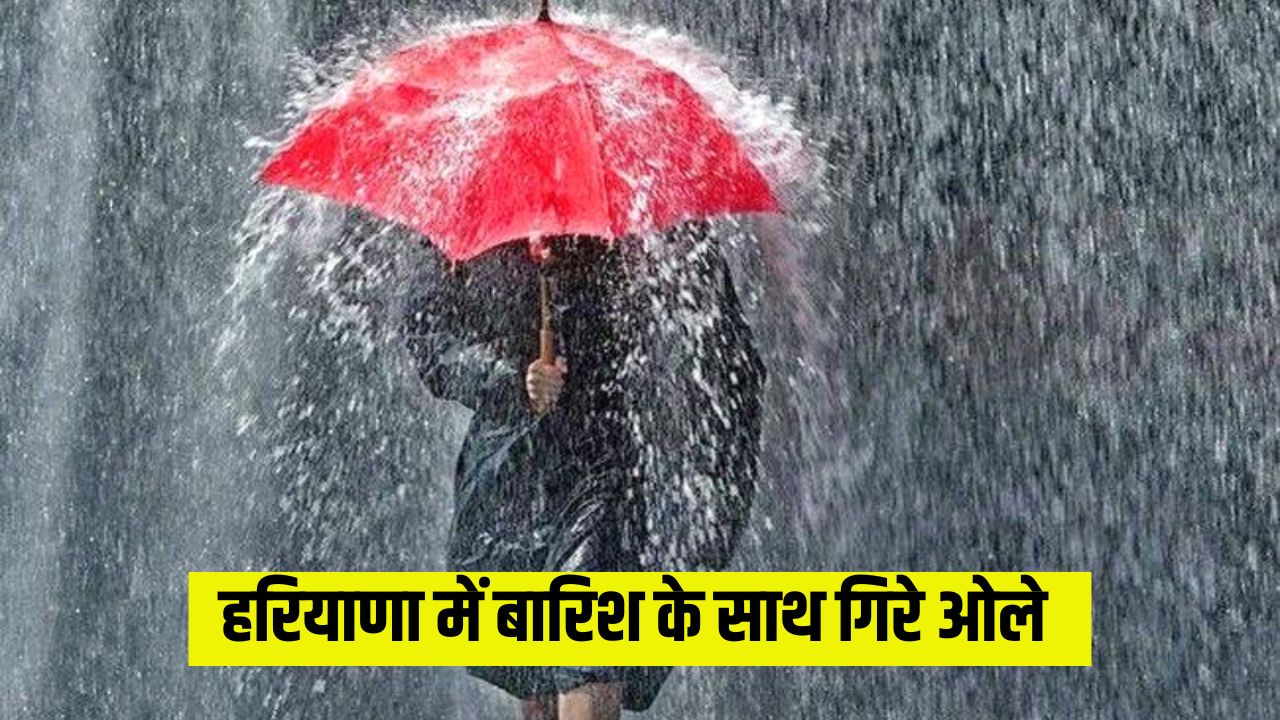 Haryana Weather Update: हरियाणा में बारिश के साथ हुई ओलावृष्टि, कई जिलों में छाए बादल - Rewari ...