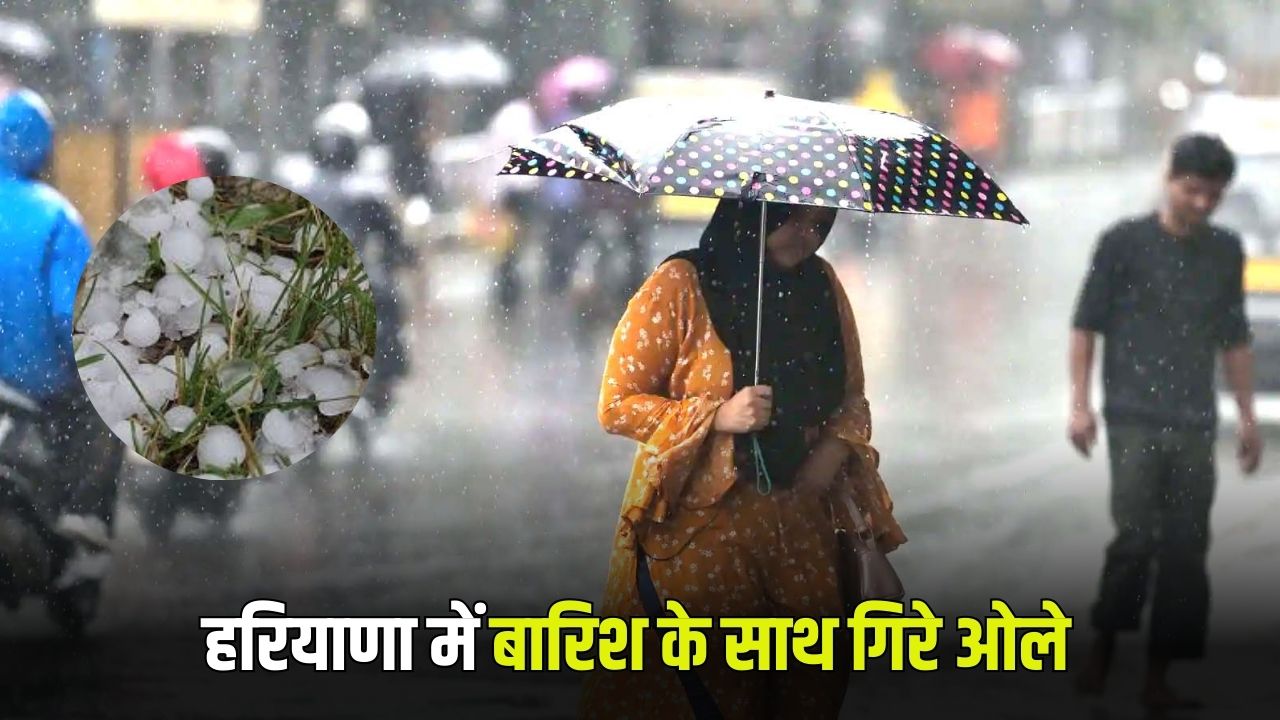 Haryana Weather Update: हरियाणा के इन जिलों में बारिश के साथ गिरे ओले ...
