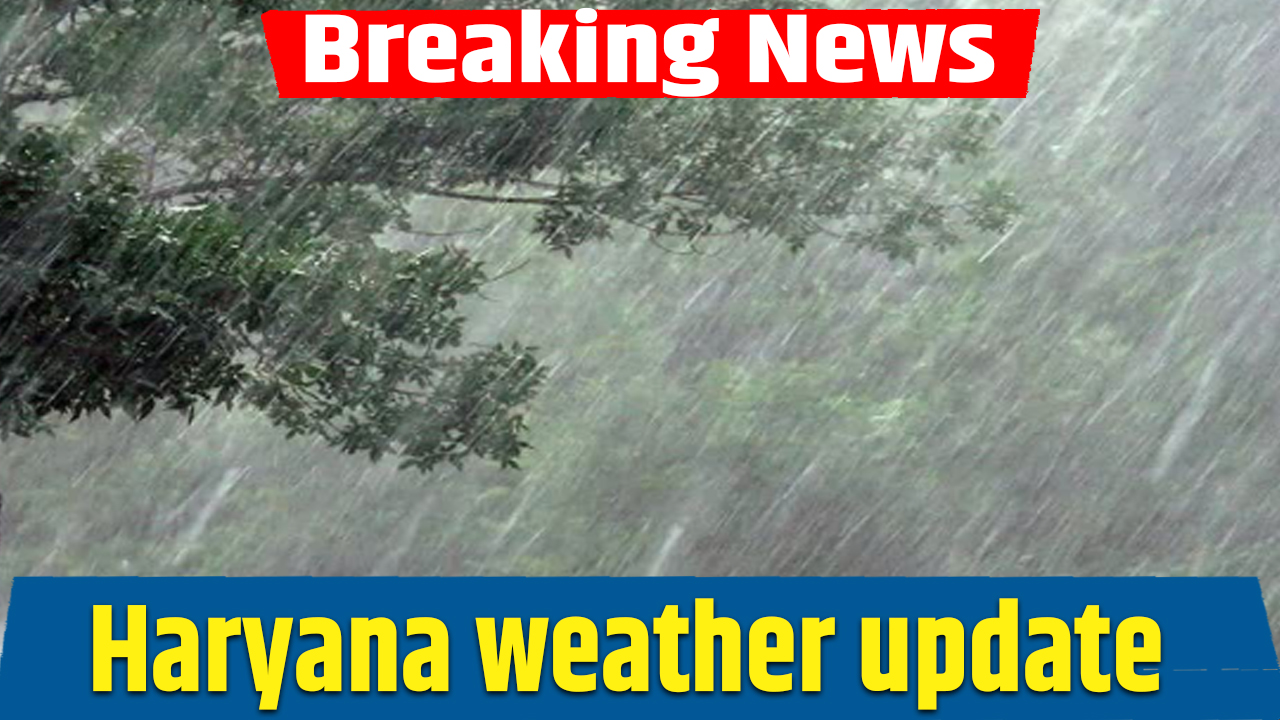 Haryana weather update: 9 से 12 सितंबर तक कहां होगी बारिश, कहां रहेगा ...